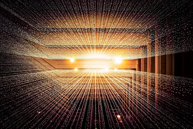 Fetch And Display Data From Api In React Js