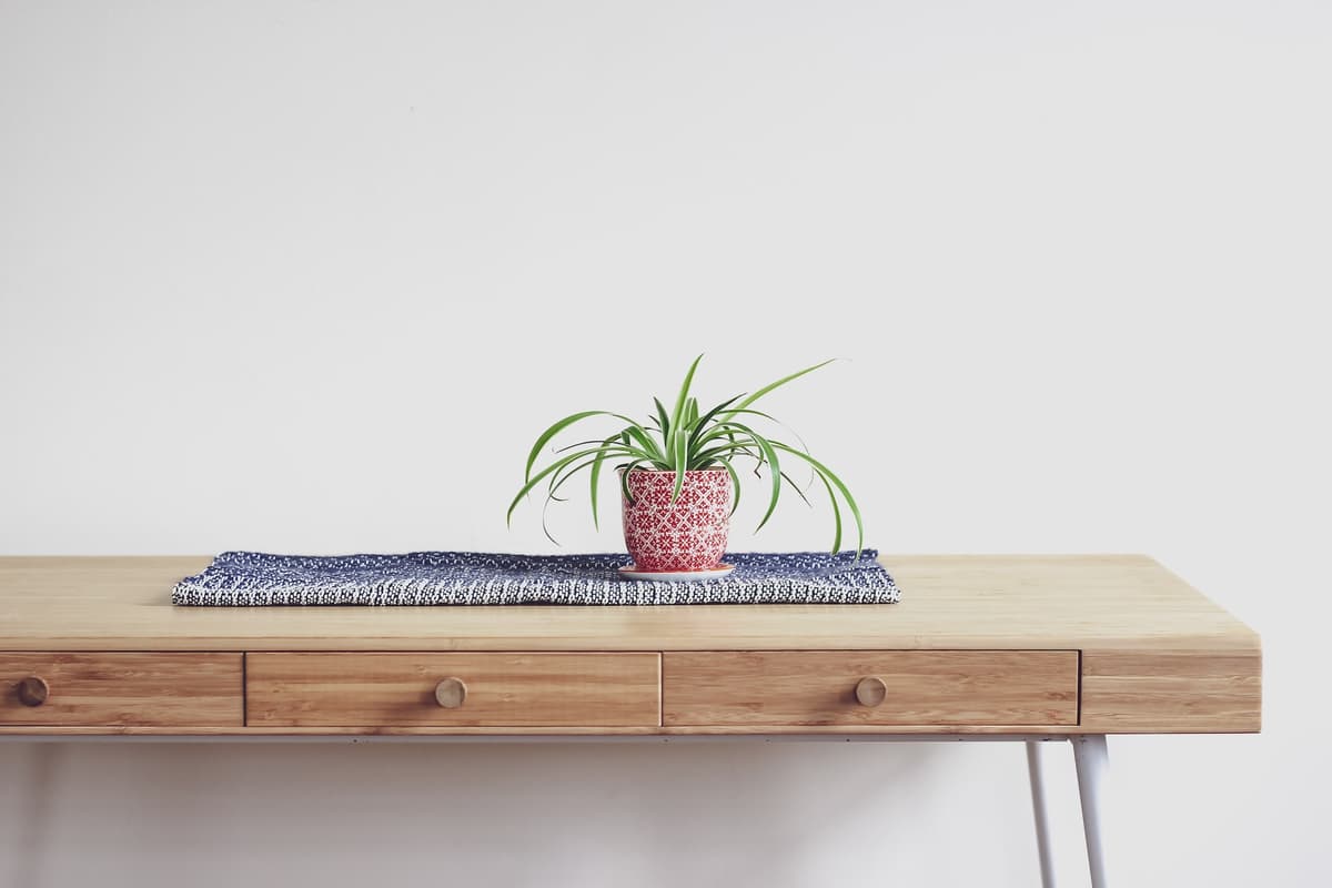 React fetch data from API and display in a table | CodingDeft.com React fetch data from API and display in a table | CodingDeft.com